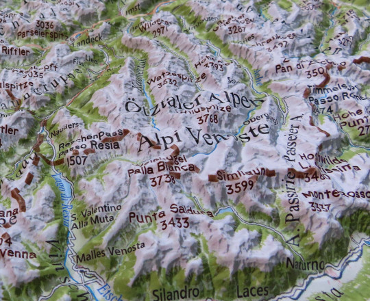 Raised relief maps are available of the entire Alps as well as smaller ...